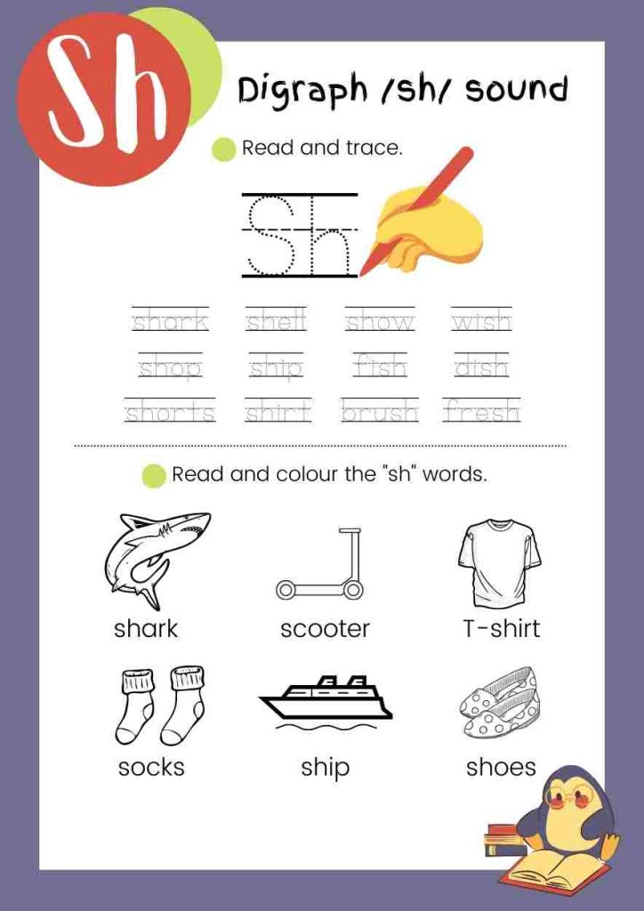 Phonics Digraph sh sound Worksheet - New-Phonics-Tools